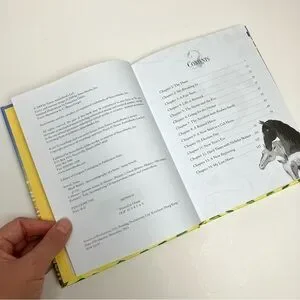 Toys | Black Beauty Book With Audio Cd Classic Childrens Book Youth ...